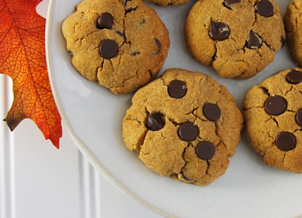 Pumpkin Chocolate Chip Cookies (AIP, Paleo) | Crohn's disease ...